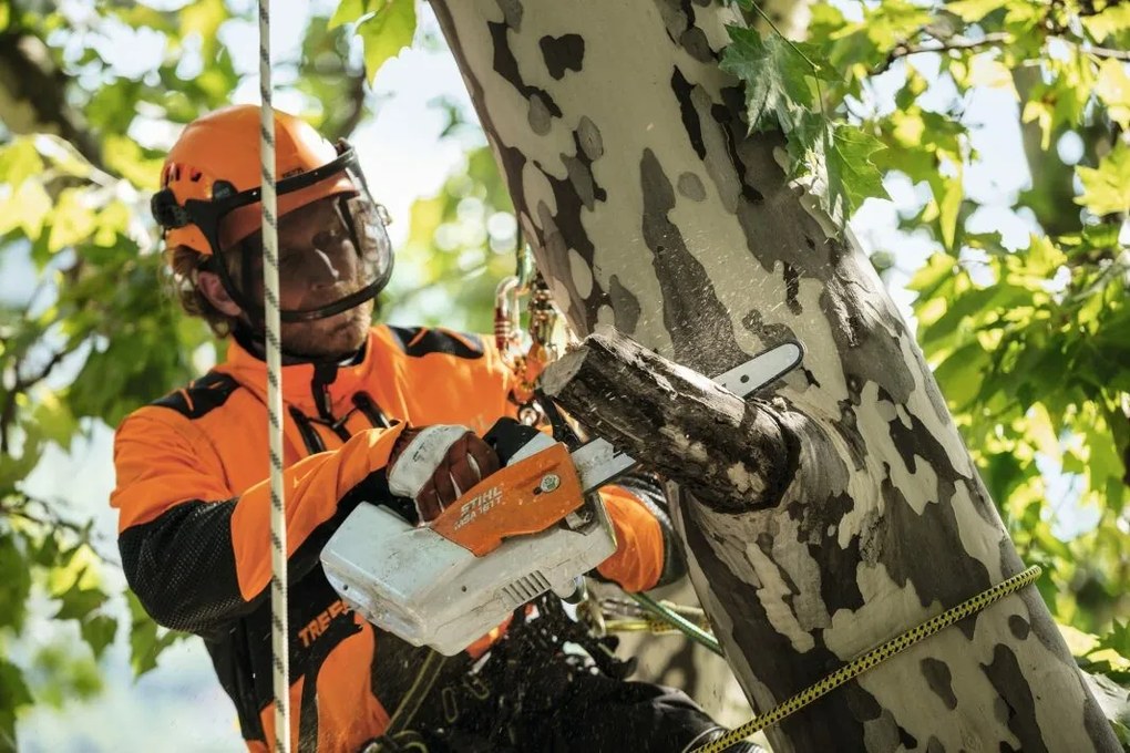 AKU pila STIHL MSA 161 T