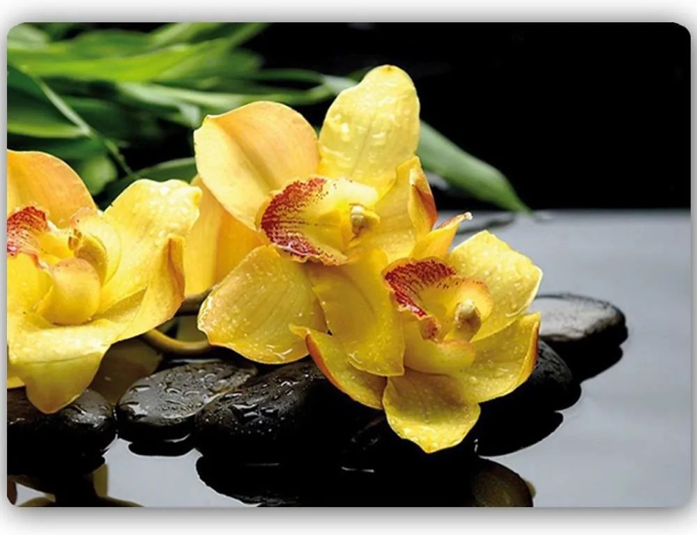 CARO Kovový obraz - Yellow Orchids 60x40 cm