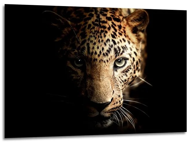 Obraz na skle Styler  -  Leopard 100x70 cm