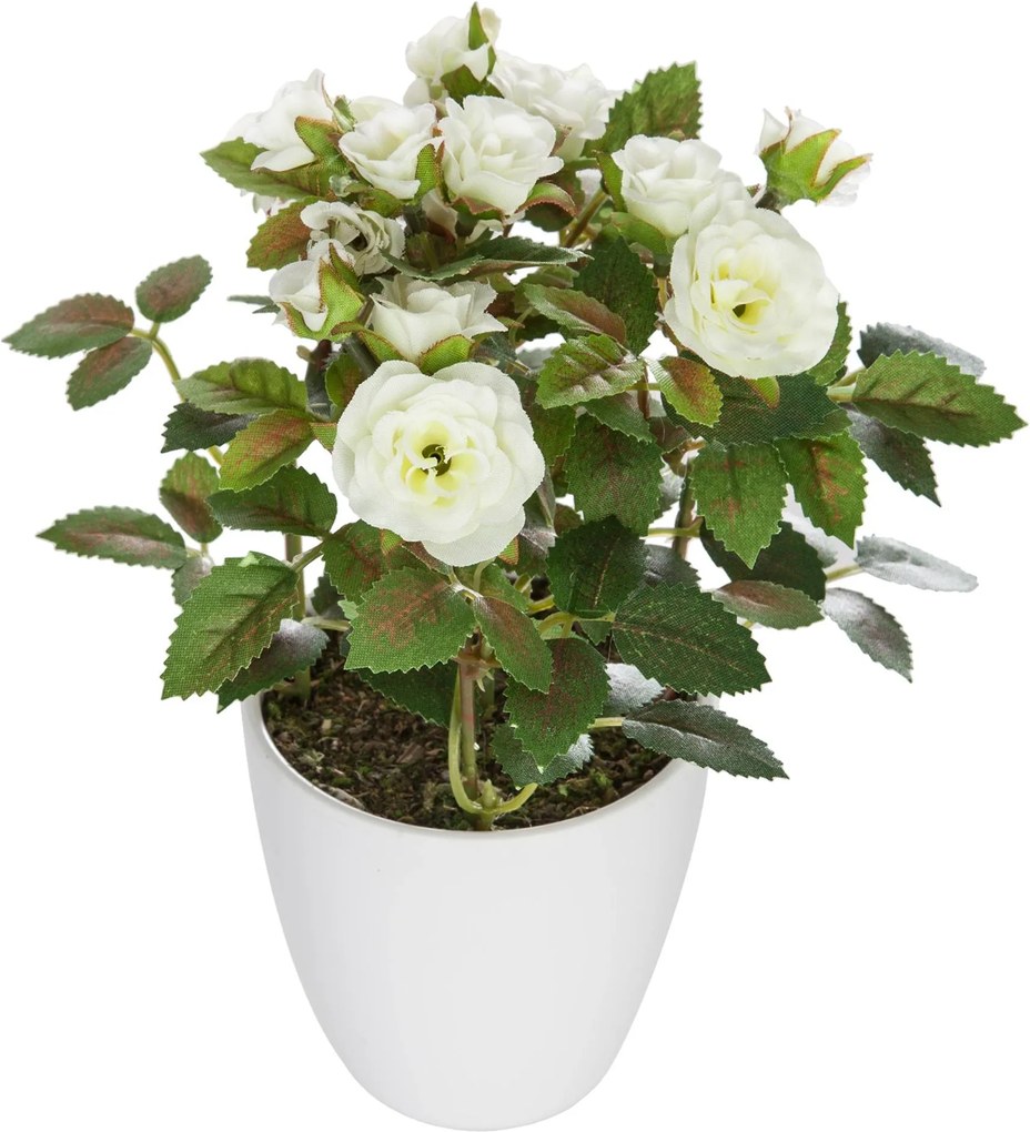 Umělá rostlina RŮŽE,  18 cm, bílý květináč (3560234531734)