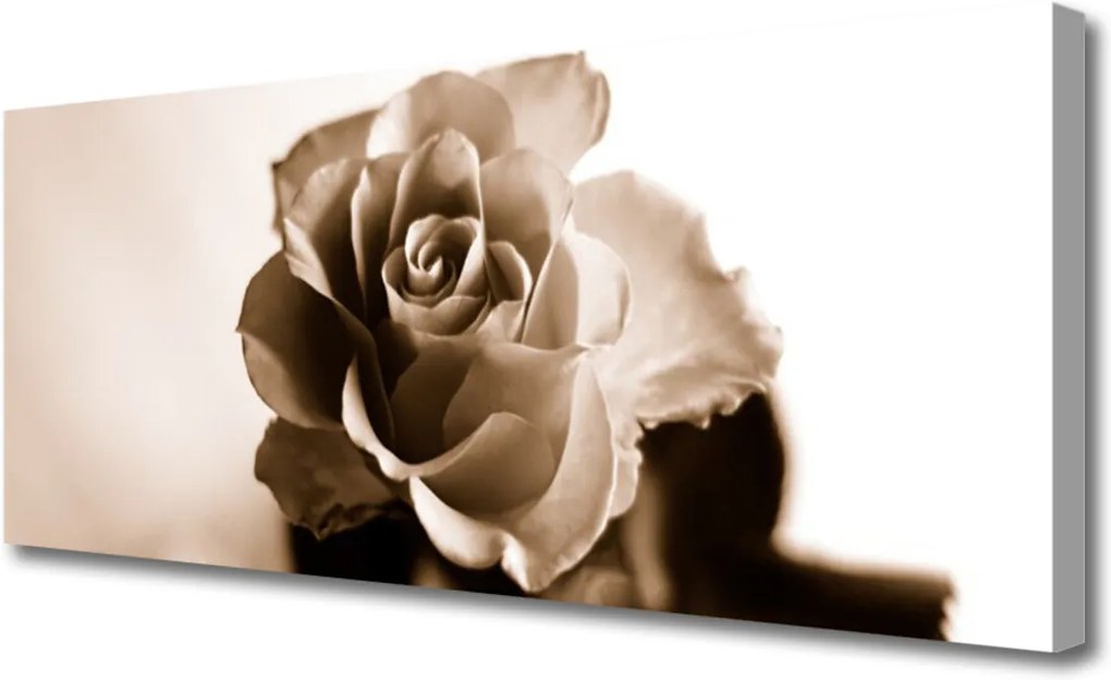 Obraz na plátně Skleněný Růže Květ