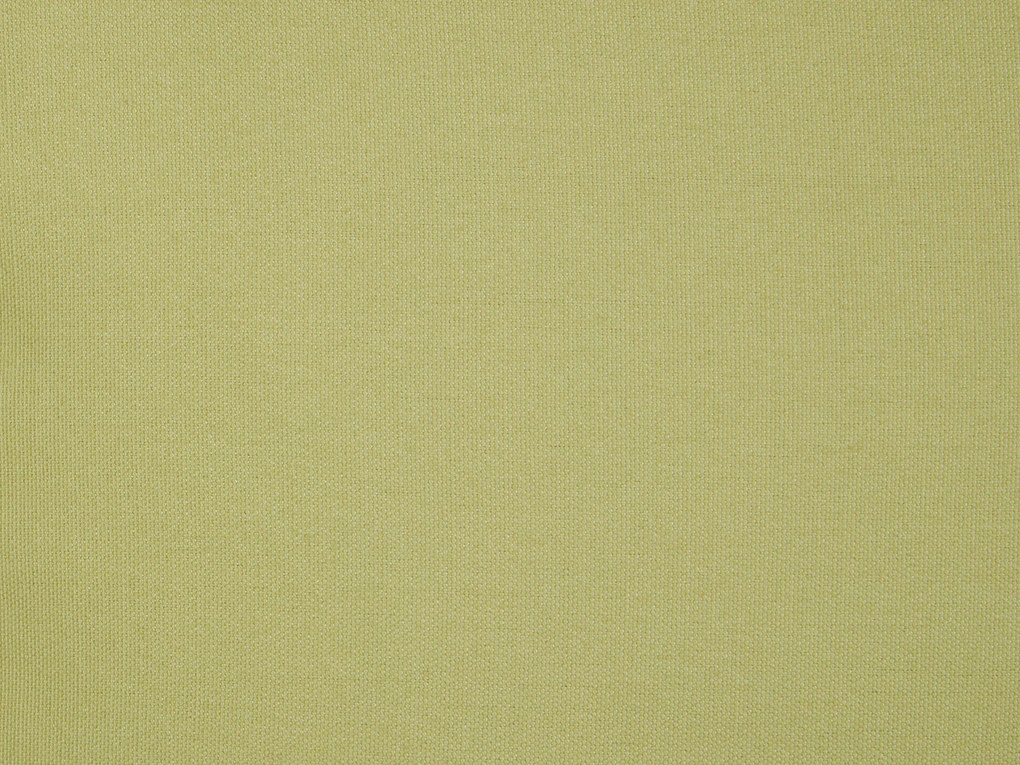 Polštář 45 x 45 cm zelený CHMISTAR Beliani