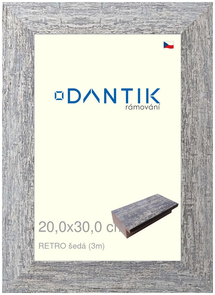 DANTIK rámeček 20x30 | RETRO šedá (Sklo Čiré)