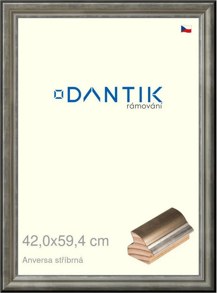 DANTIK rámeček 42x59,4 | ANIVERSA stříbrná (Plexi Čiré)