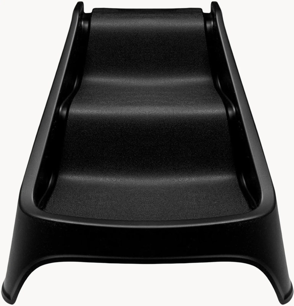 Ramp Litter-Robot 4