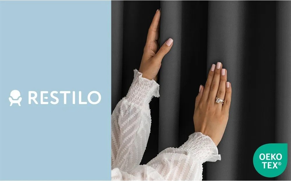 Antracitový dimout závěs 140x250 cm Carli – Restilo
