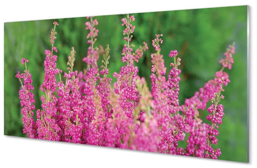 akrylový obraz květiny vřesy 125x50 cm