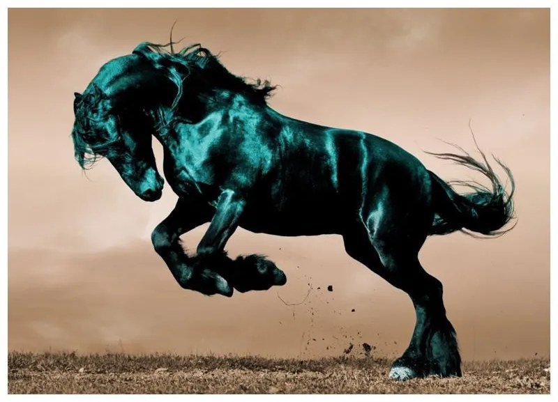 Obraz modrého koně  (70x50 cm), 40 dalších rozměrů