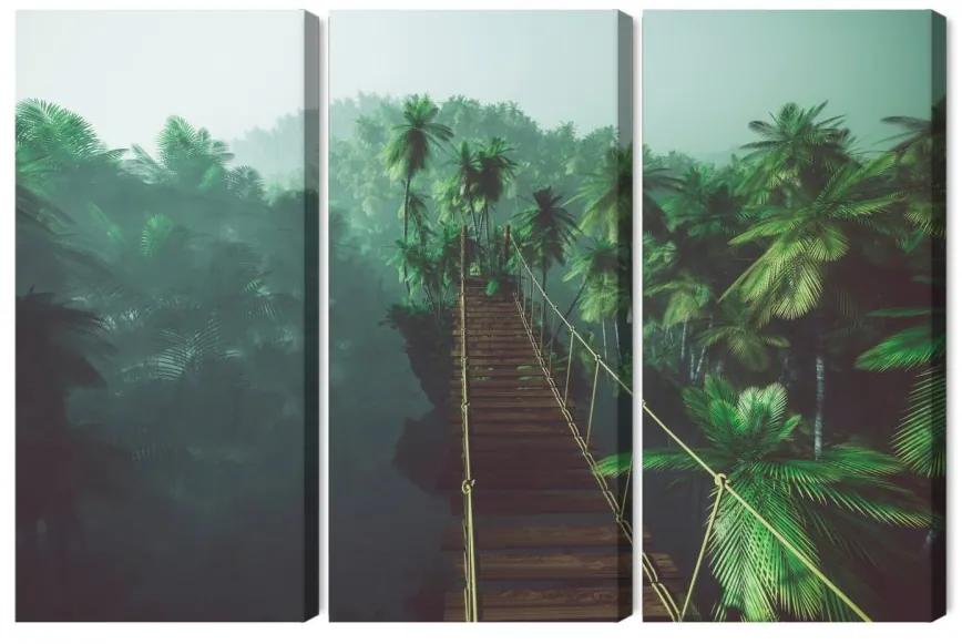 Vícedílný obraz Lanový Most V Džungli 3D Nedostatek Nedostatek Přírodní plátno 60x40