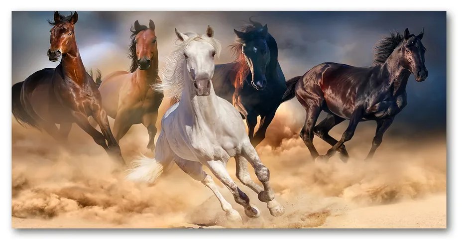 Wallmuralia Foto-obraz na skle horizontální Koně ve cvalu 100x50 cm