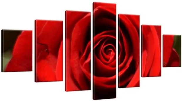 Obraz na plátně Květ červené růže 210x100cm 280A_7A