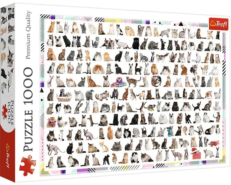10498 Puzzle - 208 cats - 1000ks