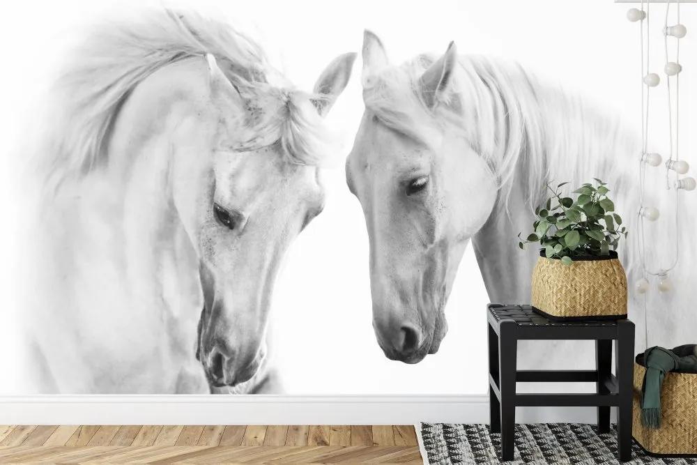 Fototapeta Dva Bílí Koně 3D Samolepící tapety 368x280