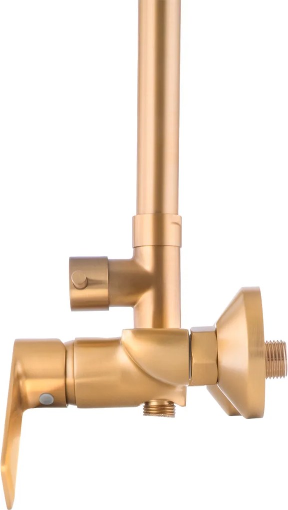 ALEX 003J BRUSHED GOLD