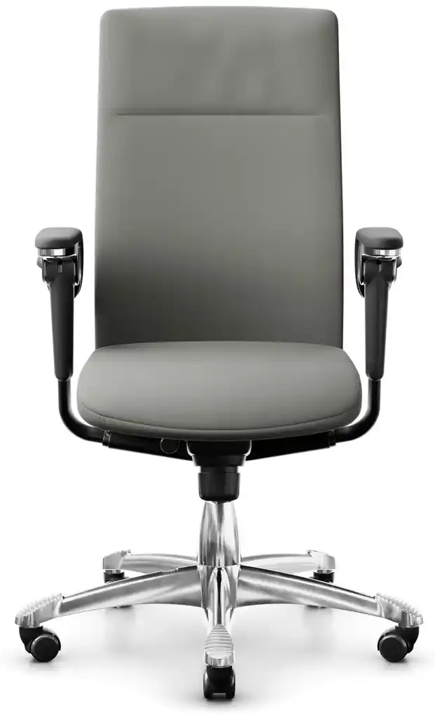 HÅG - Židle TRIBUTE - vysoký opěrák a s područkami | BIANO
