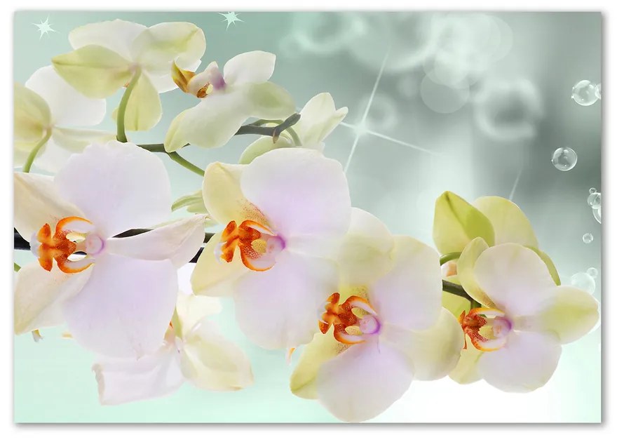 Wallmuralia Foto obraz fotografie na skle Bílá orchidej 100x70 cm