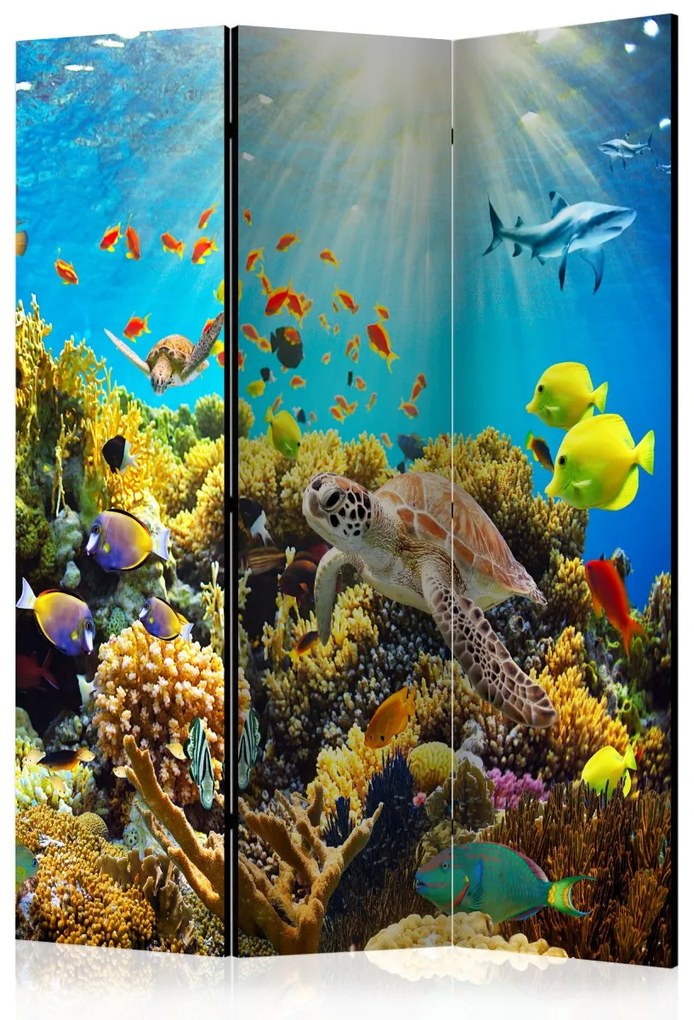 Paraván život pod vodou Velikost (šířka x výška): 135x172 cm