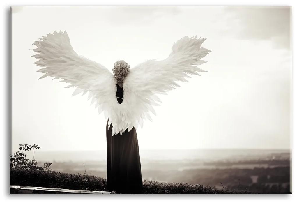 Obraz andělská křídla Velikost (šířka x výška): 80x50 cm
