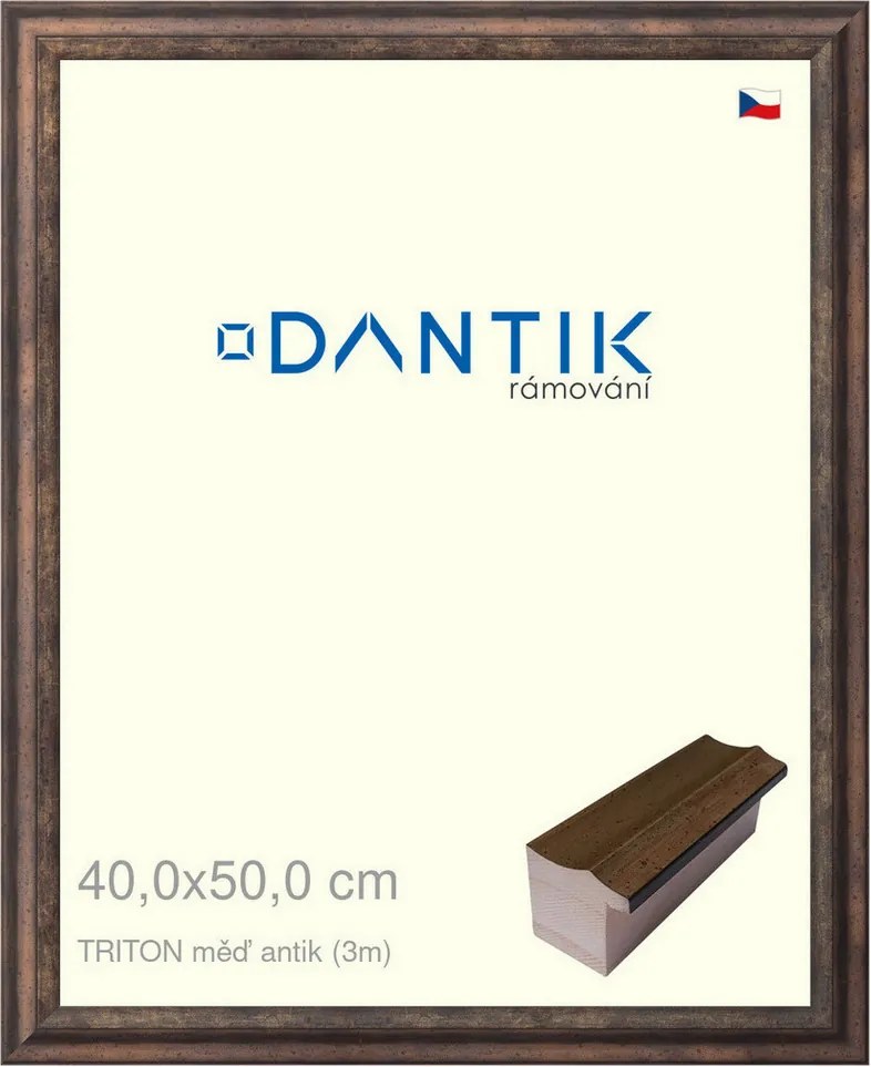 DANTIK rámeček 40x50 | TRITON měď antik (Sklo Čiré)