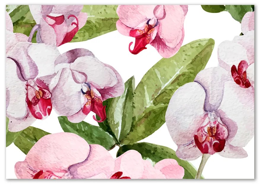 Wallmuralia Fotoobraz na skle Růžové orchideje 100x70 cm