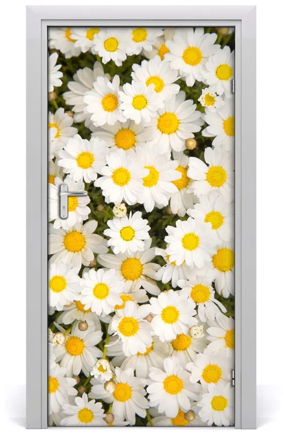 Fototapeta samolepící květy sedmikrásky 85x205 cm