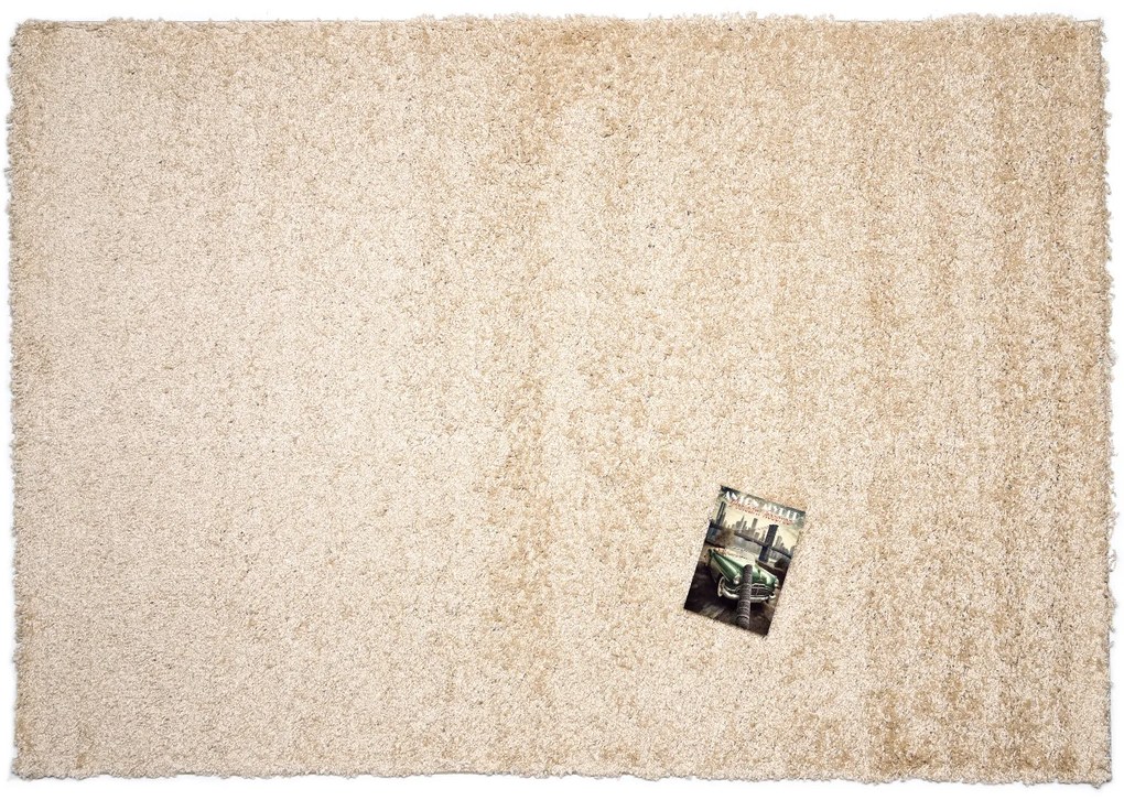 Mono Carpet, Kusový koberec Efor Shaggy 2226 Beige, 120x170, béžová, ložnice