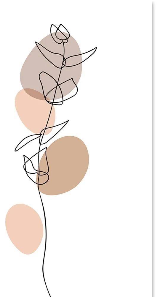 Obraz minimalistický list na bílém pozadí No4