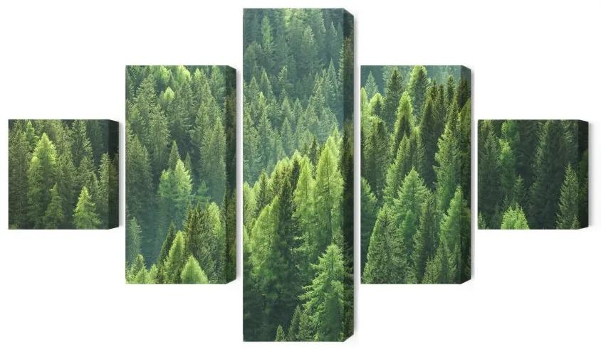 Vícedílný obraz Zelení Lesa Nedostatek Nedostatek Přírodní plátno 150x90