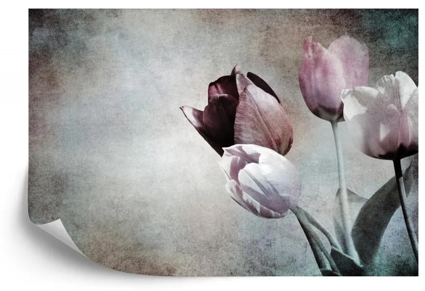 Fototapeta Vintage Tulipány Omyvatelný vlies 104x70.5