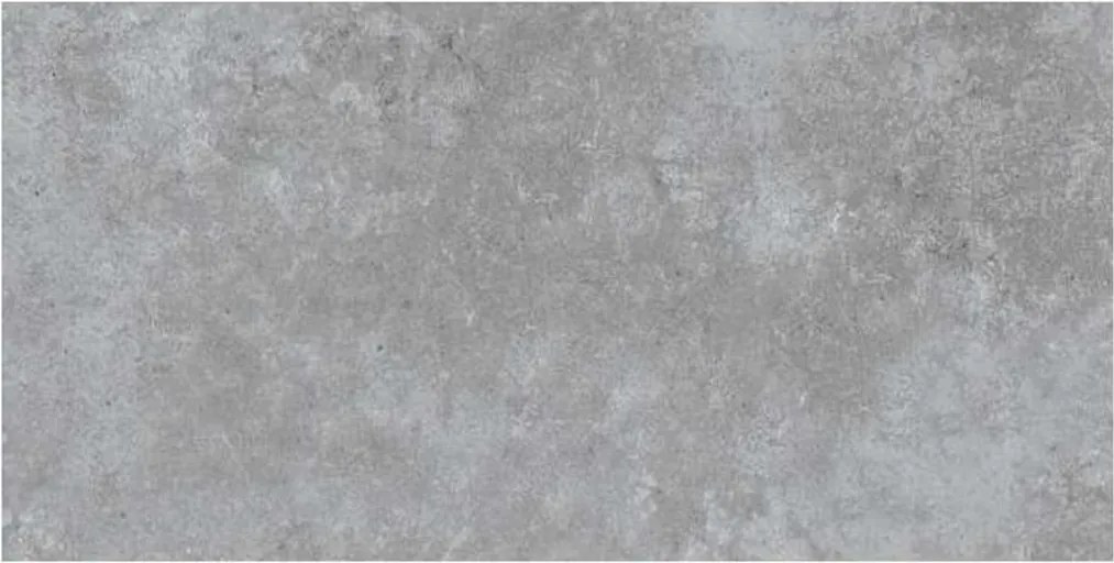 EBS Koncept - Dlažba 30x60 cm, matná argent KONC3060AR