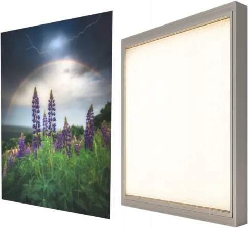 Led Podsvícený Obraz Lupina rámeček stříbrný Canvas Slim 40x50 cm napájecí adaptér