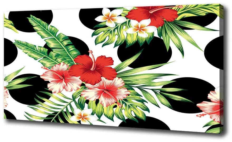 Wallmuralia Foto obraz na plátně Havajské květiny 100x50