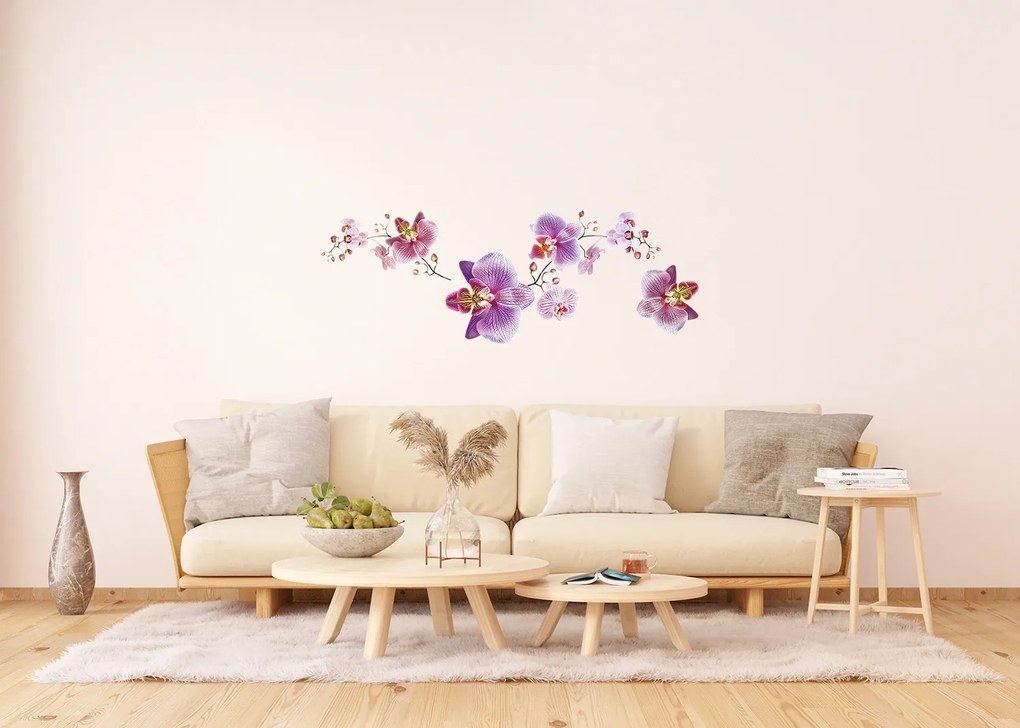 Samolepka na zeď Fialové Orchideje | 65 x 85 cm | DF0466