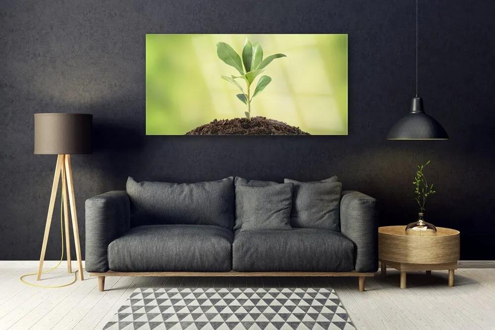 akrylový obraz Půda Rostlina Růst 120x60 cm