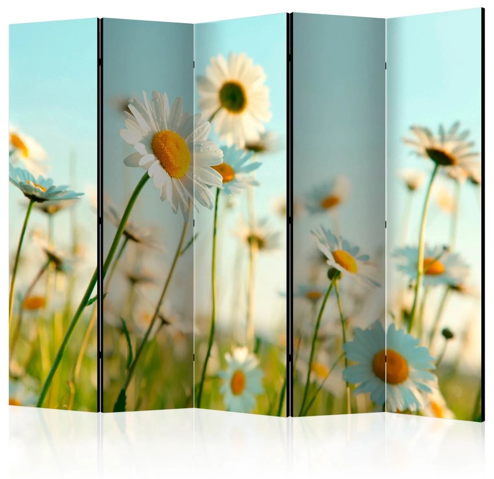 Paraván - Daisies - spring meadow II [Room Dividers] 225x172