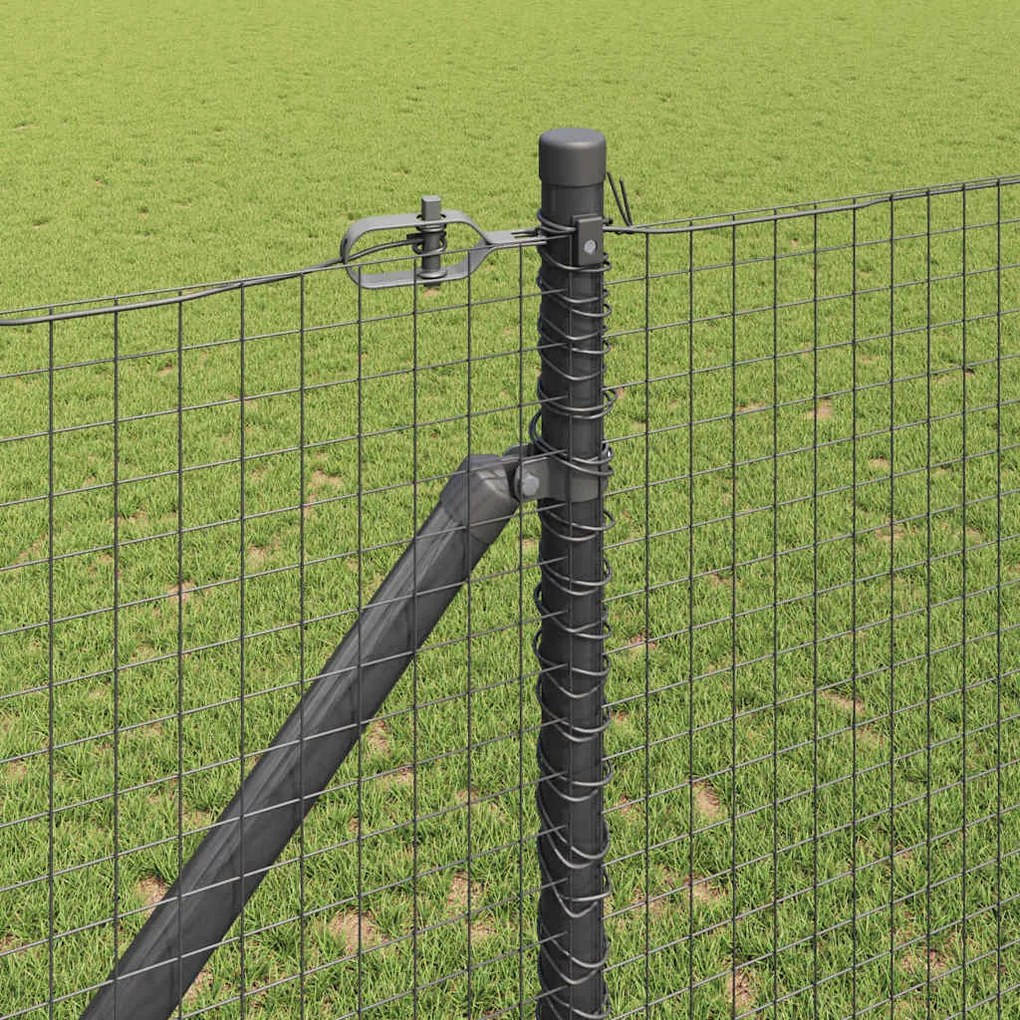 Svařované drátěné ploty s hroty 10 x 1,4 m Ocel potažená PVC 3352174