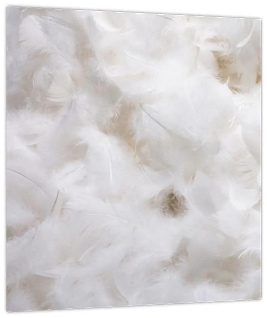 Obraz - Bílé peří (30x30 cm)