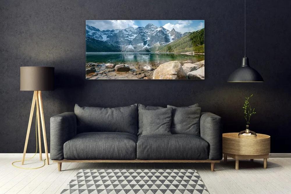 Plexisklo-obraz Hory Les Jezero Kameny 120x60 cm