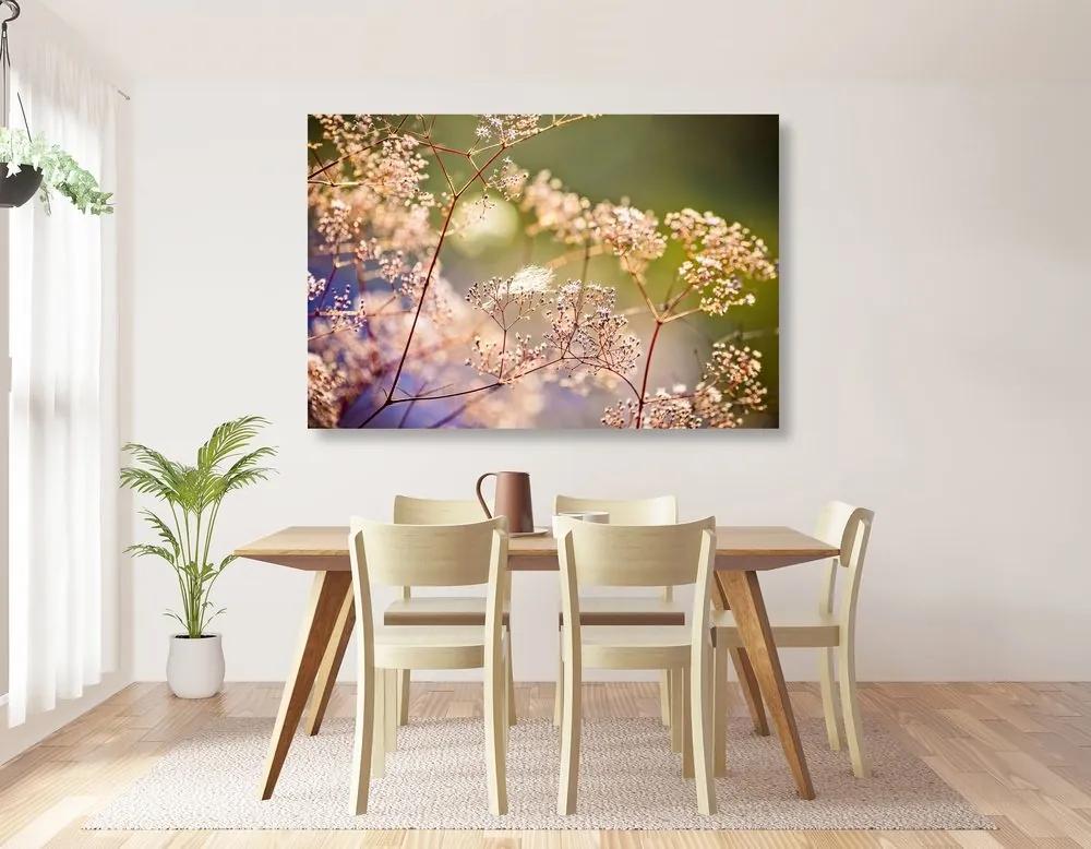Obraz zátiší z květů - 120x80 cm