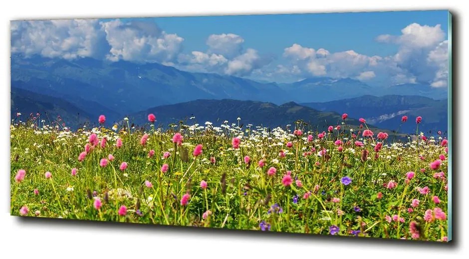 Wallmuralia Fotoobraz na skle Louka v horách 125x50 cm