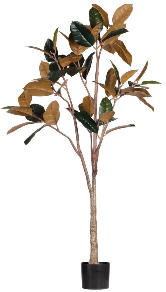 WOOOD Umělá rostlina RUBBER 170cm