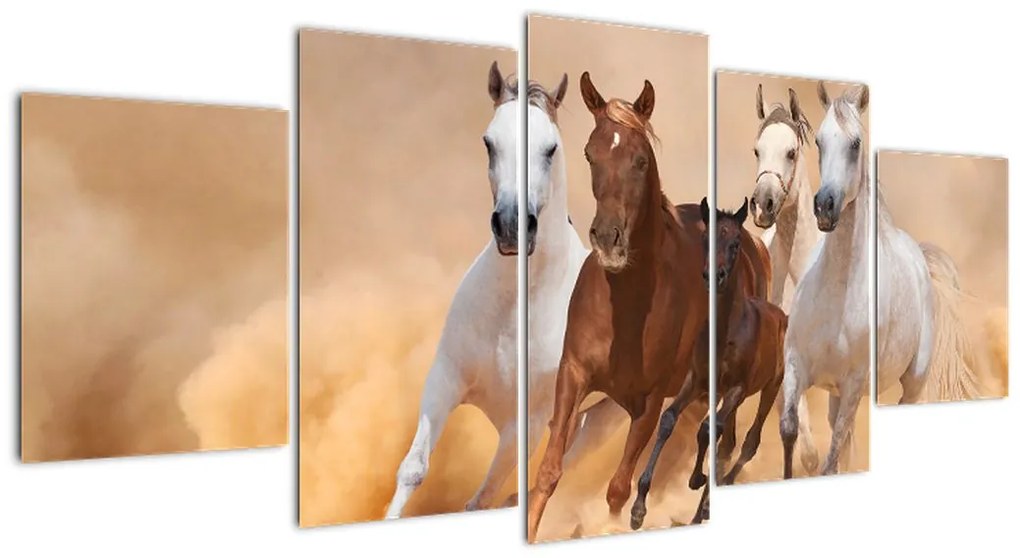 Obrazy běžících koní