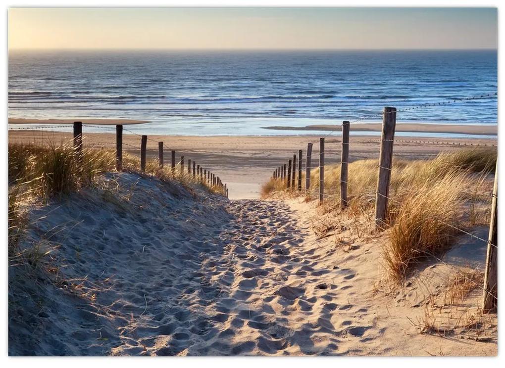 Skleněný obraz - Cesta k pláži Severního moře, Nizozemsko (70x50 cm)