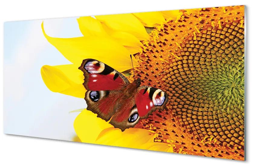 akrylový obraz slunečnice motýl 100x50 cm
