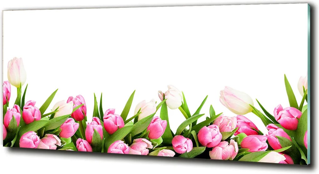 Foto obraz sklo tvrzené Růžové tulipány
