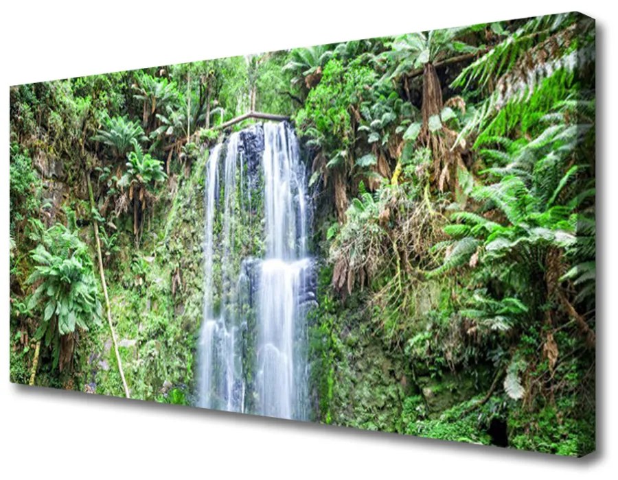 Obraz na plátně Vodopád Stromy Příroda 100x50cm