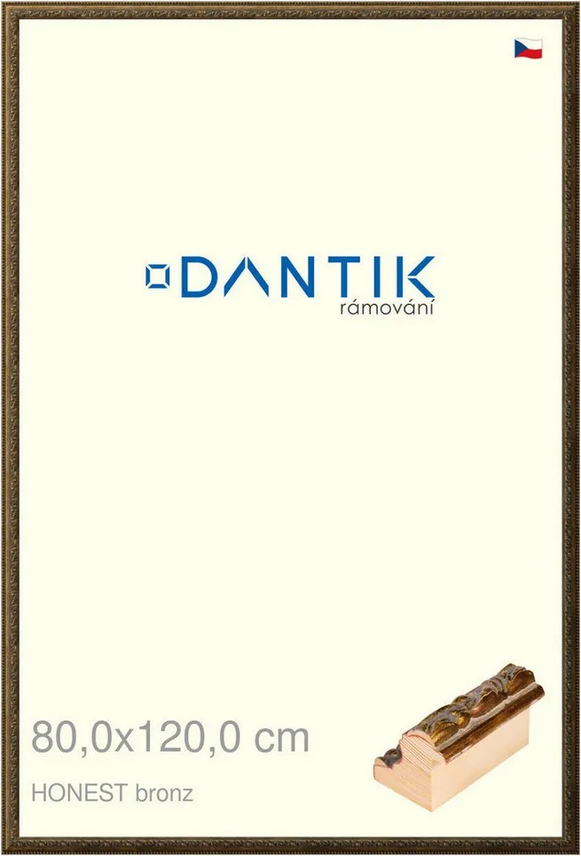 DANTIK rámeček 80x120 | HONEST malá vysoká bronz (Plexi Čiré)