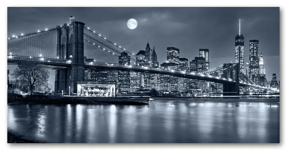 Wallmuralia Foto obraz akrylové sklo Manhattan New York 140x70 cm