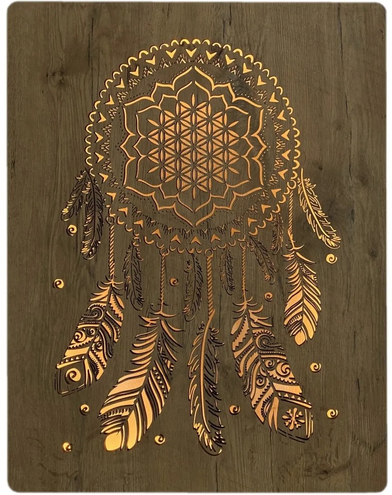 Li-Go "Lapač" světelný obraz 230V 62x80cm provedení povrchu: dub