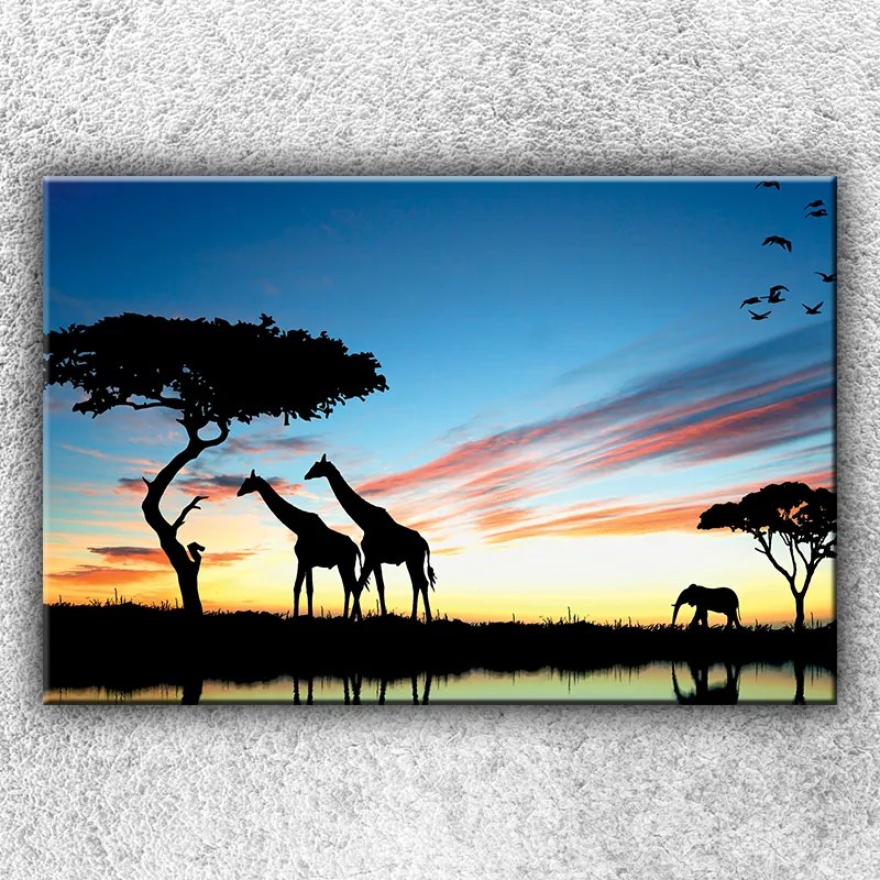 Fotografie na plátno Siluety safari 1 120x80 cm